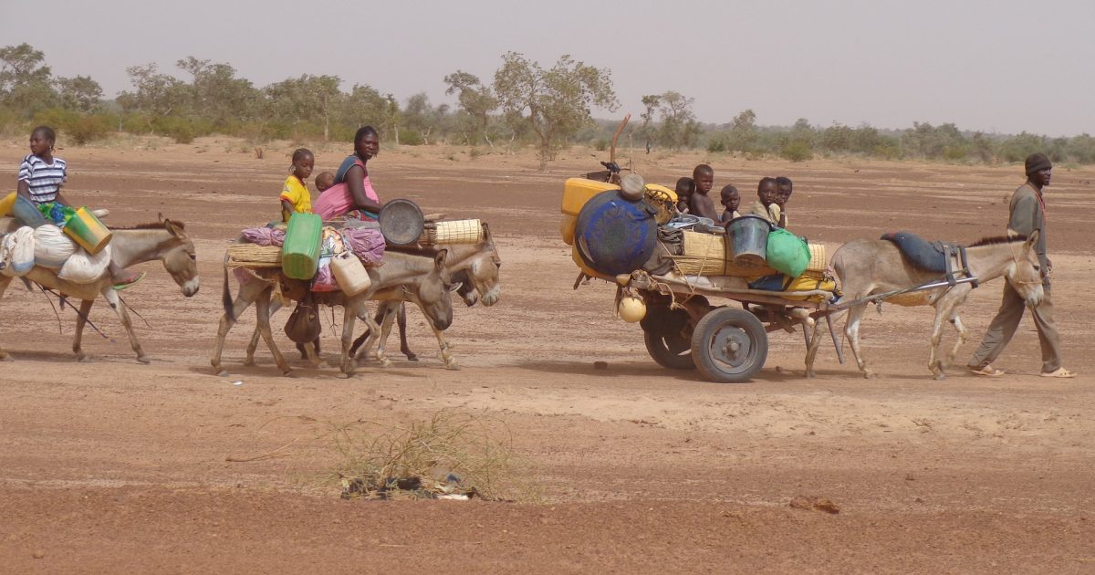 L’exode rural en Afrique subsaharienne : sombres perspectives – Open ...