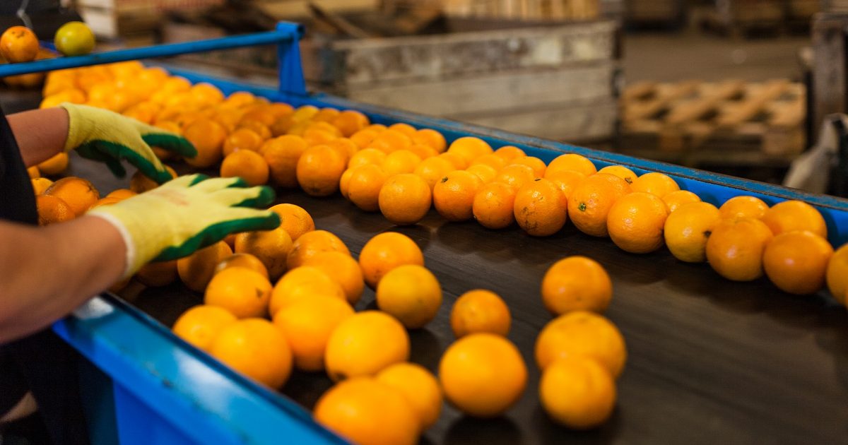 Quel avenir pour nos fruits ? – Open Ressources